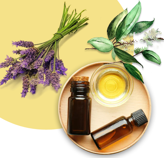 Private Label Essential Oil Product Manufacturers in India - Swadesh ...